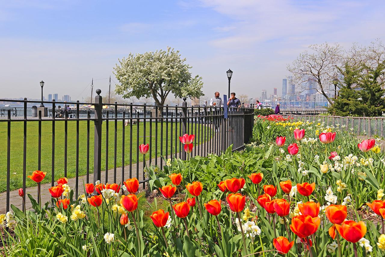 Tribeca Bridge Tower NYC Luxury Apartment Rentals | Glenwood Management